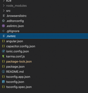 How to run Ionic project in Visual Studio Code - Studyraft